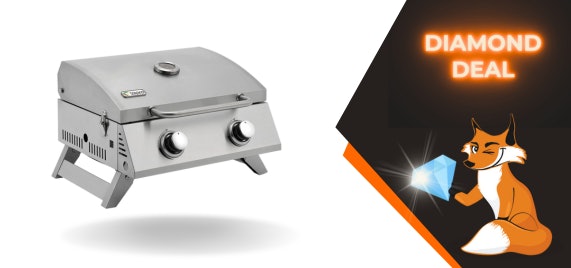 Test Rite Tepro "Chicago" 2-Brenner für 100€ I 2026 Januar