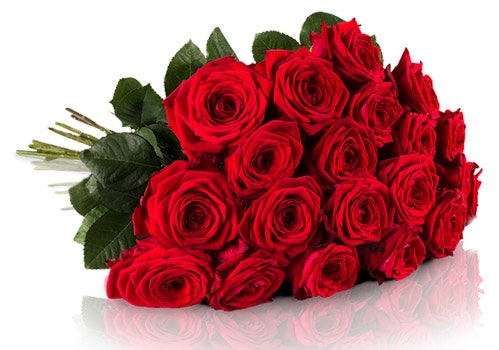 20 rote Rosen für 19€ bei Miflora - Red Naomi